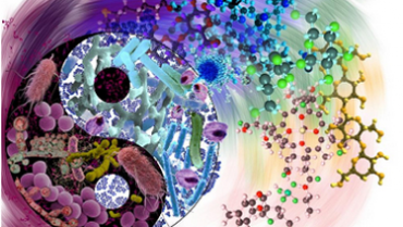 Gut Microbiome Human Health Probiotics | Biom Probiotics | Probiotics