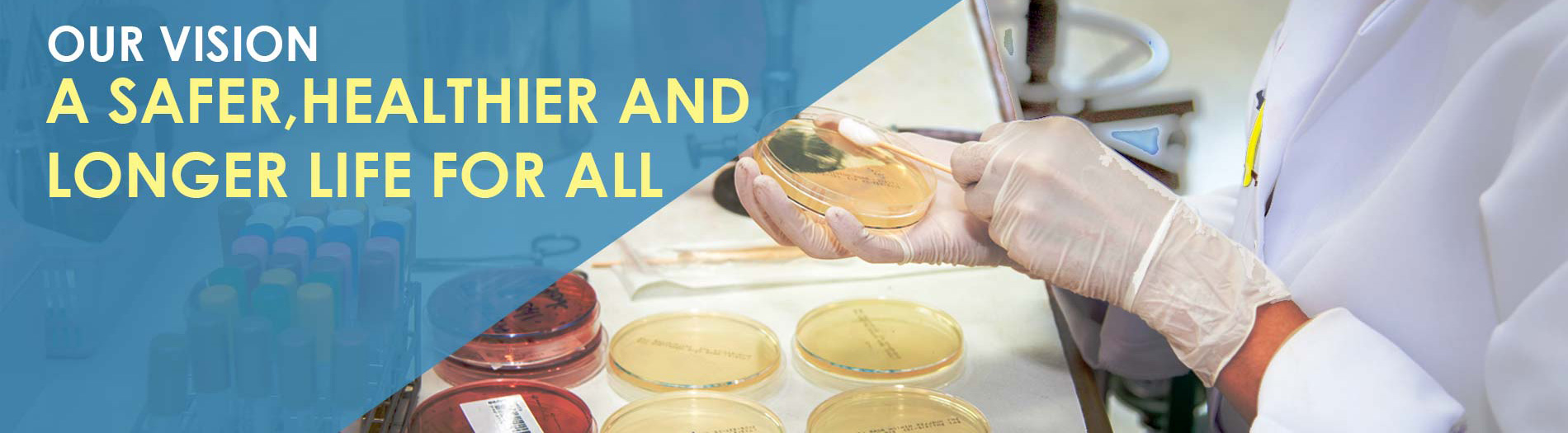 Biom Probiotics | Biom Probiotics Sarasota | Microbiome Probiotics